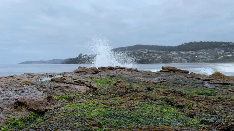 Real-Time Film Looks - Now Available in FiLMiC Pro v6.16