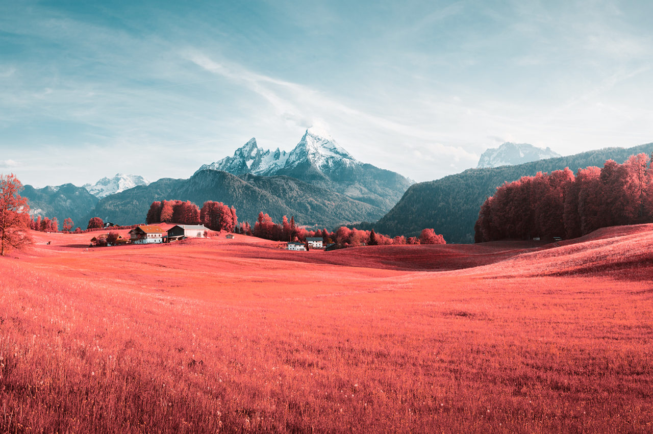 Real-Time Film Looks - Now Available in FiLMiC Pro v6.16